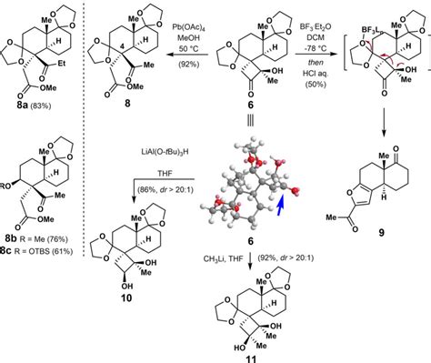 Stereoselective Synthesis Of Trans Decalin Based Spirocarbocycles Via