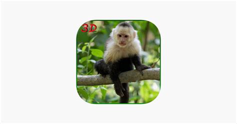 Monkey Simulator Wild Life On The App Store