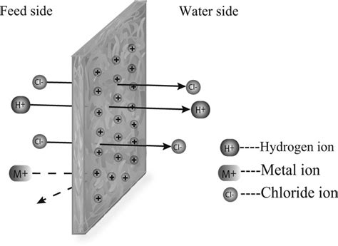 Illustration Of The Diffusion Dialysis Principle Through The Hcl