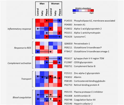 Sex Discriminant Proteins With Significantly Altered Abundances