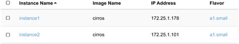 The Created Instances With Their Ip Addresses In The Range Of The
