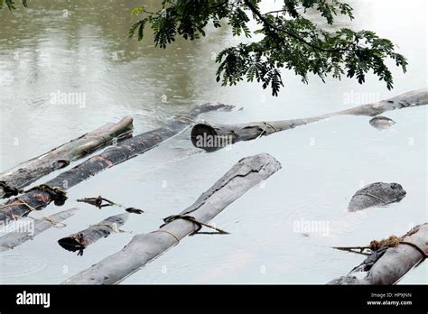 Tied Up Woods Hi Res Stock Photography And Images Alamy