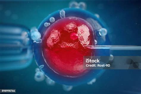 3d 그림에 생체 외 풍부 하 게 함을 계란 세포로 주사 정자 생식 치료 지원 세포에 대한 스톡 사진 및 기타 이미지 세포 주사기 3차원 형태 Istock