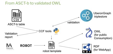 github hubmapconsortium ccf validation tools hra asct b validation
