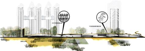 概念立面表现分析图 海绵城市滨水概念滨水阶梯海岸景观设计分析剖立面PSD效果图素材 剖面图立面图 PS素材 设计e周