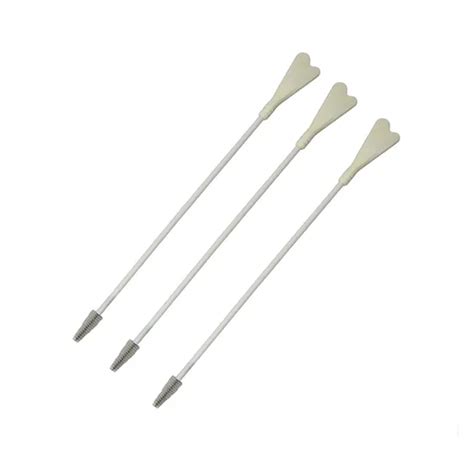 Cervical Cell Collecting Cytology Cervix Brush Pap Smear Collection