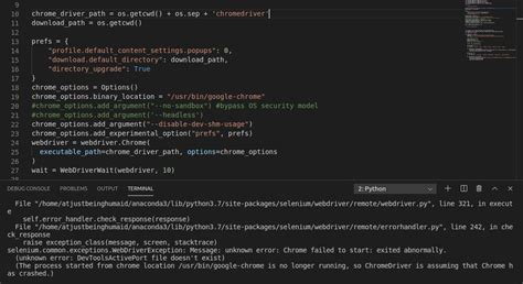 Python Chrome Not Running Without Headless Mode Ubuntu 1804
