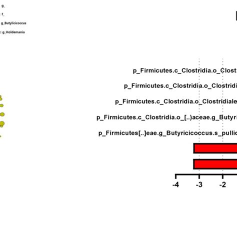 Differences Between The Taxonomic Composition Of Before And After