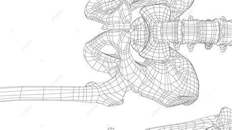 Human Skeleton Vector Dead Science Beautiful Vector Dead Science