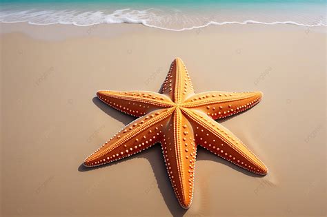 Starfish On Sandy Beach Background Wallpapers Backdrop Beach