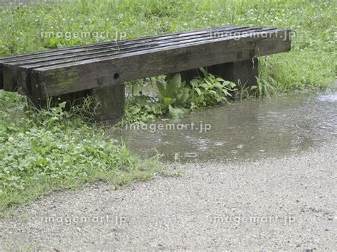 雨にぬれた公園の木のベンチの写真素材 24268594 イメージマート