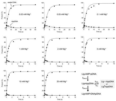 Figure S2 Magnesium Concentration Dependence Of The Rates Of Download Scientific Diagram