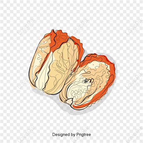 초록 양배추 디자인하얀노랑만화 Png 일러스트 무료 다운로드 Lovepik