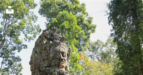 숲 한가운데에 앉아있는 큰 바위 더미 사진 Unsplash의 무료 벽 이미지