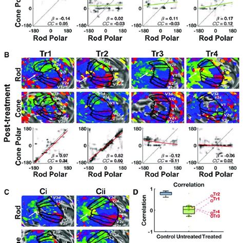 Cone Mediated Retinotopy In Visual Cortex Cone Mediated Versus