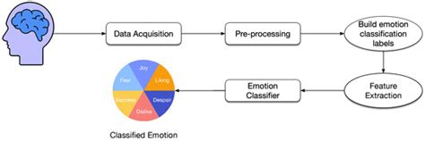 A Fine Grained Approach For Eeg Based Emotion Recognition Using Clustering And Hybrid Deep
