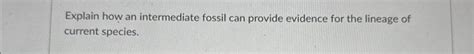 Solved Explain How An Intermediate Fossil Can Provide