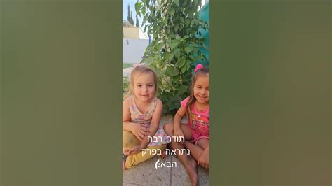 איך עושים הפרייה לירקות פירותיים גאיה וסול מסבירות בפשטות את כל התורה Youtube