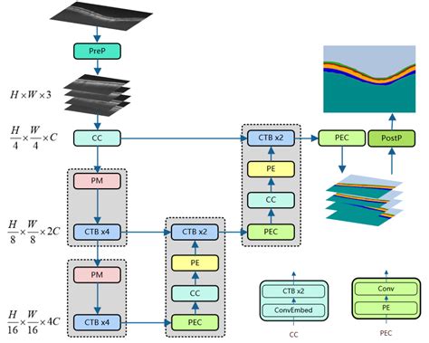bioengineering free full text cts net a segmentation network for