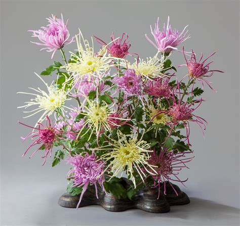 未生流 未生流の総本家