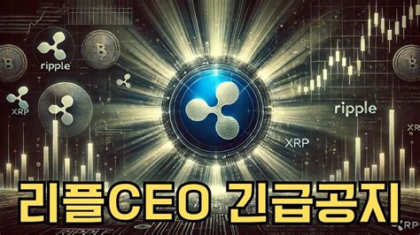 리플ceo 갈링하우스 충격발표 리플 Xrp Youtube
