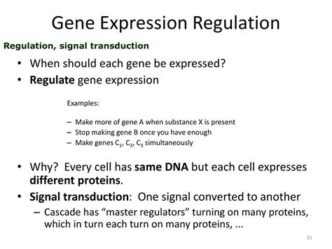 A Zero Knowledge Based Introduction To Biology Ppt Download