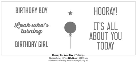 Stampin Up Hooray Its Your Day Project Kit