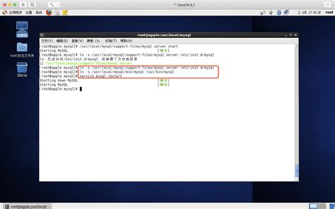 Linux 虚拟机详细安装MySQL 陈彦斌 博客园
