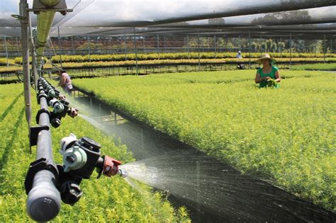 Qué es el riego tecnificado y qué beneficios tiene para la agricultura