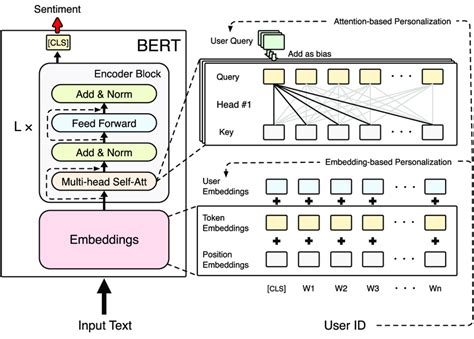 An overview of U-PLMs with BERT as the backbone model. | Download Scientific Diagram