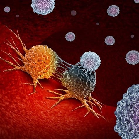Las Diferencias En El Tratamiento Médico De Virus Y Bacterias