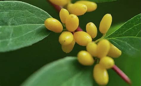 Streamline Document Approval With Sharepoint And Power Automate By Mohammed Saiful Alam