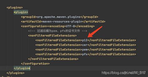 ioexception derinputstream getlength lengthtag 111 too big
