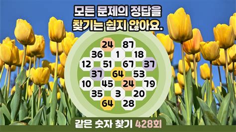 같은숫자찾기 428회 모든 문제의 정답을 찾기는 쉽지 않아요 같은숫자찾기 퀴즈 치매예방퀴즈 두뇌운동 Number Search Quiz 脳トレ 数字探し