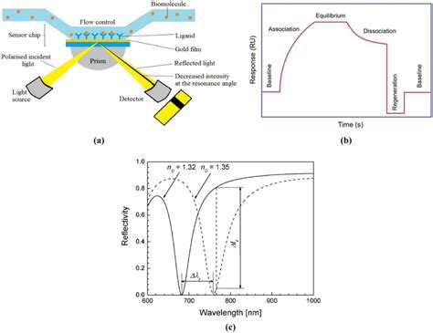 A Schematic Showing Spr Chips Principle B Sensorgrams Analytical