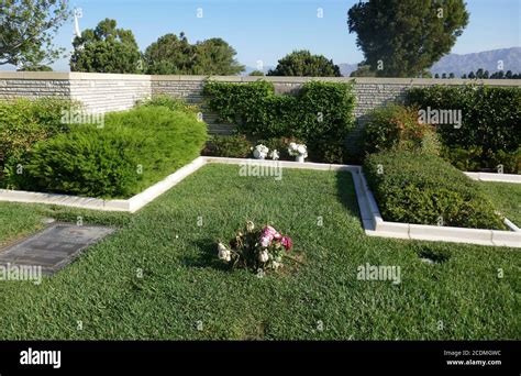 Paul Walker Forest Lawn