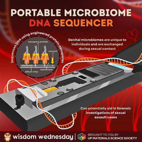 Up Materials Science Up Materials Science Society
