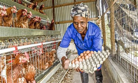 Lifeline For Struggling Elderly In Maphumulo North Coast Courier