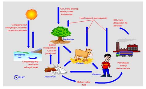 Siklus Udara Daur Biogeokimia