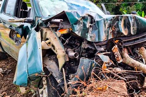 Motorista Fica Ferido Após Colidir Em árvore às Margens Da Br 104
