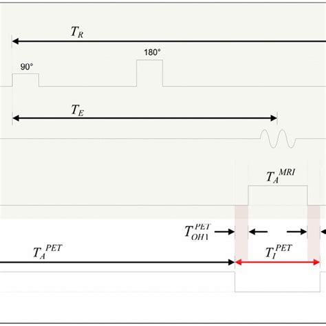 Simplified Time Diagram Of A Mri Spin Echo Sequence Acquisition Period