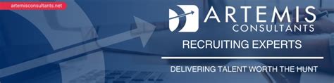 Ashley Radca Executive Search Consultant Artemis Consultants Linkedin