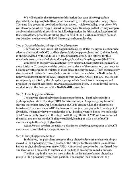 Stage 2 Conversion To Pyruvate We Will Examine The Processes In This