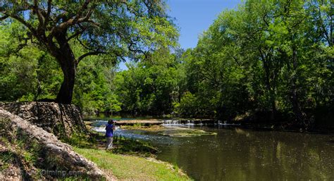 Elevation Of Steinhatchee Fl Usa Elevation Finder Topographic Map Altitude Map