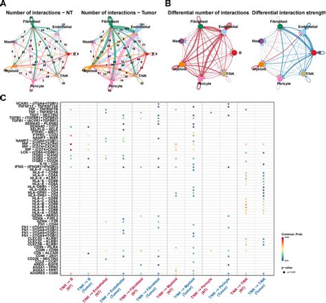 Cellcell Interaction Differences In Tumor And Normal Tissues A