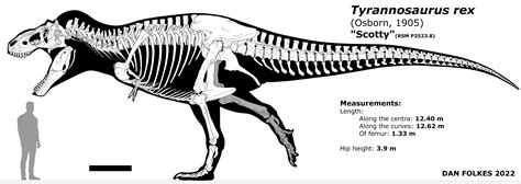 Megatheropods Are Cool R Dinosaurs
