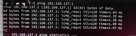 Linux主机连接windows上网windows直连linux主机 Csdn博客