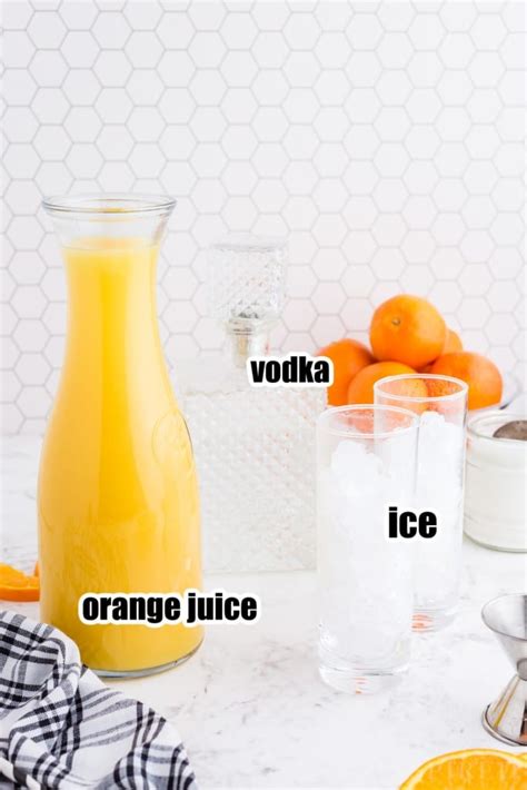 Screwdriver Drink Girl Inspired