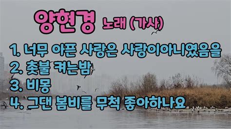 양현경노래모음가사포함 너무아픈사랑은사랑이아니었음을 촛불켜는밤 비몽 그댄봄비를무척좋아하나요 Youtube