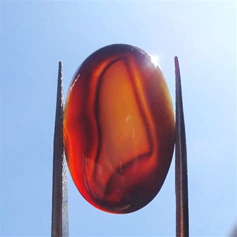 Mustika Sex Tundung Bawok Pusaka Dunia